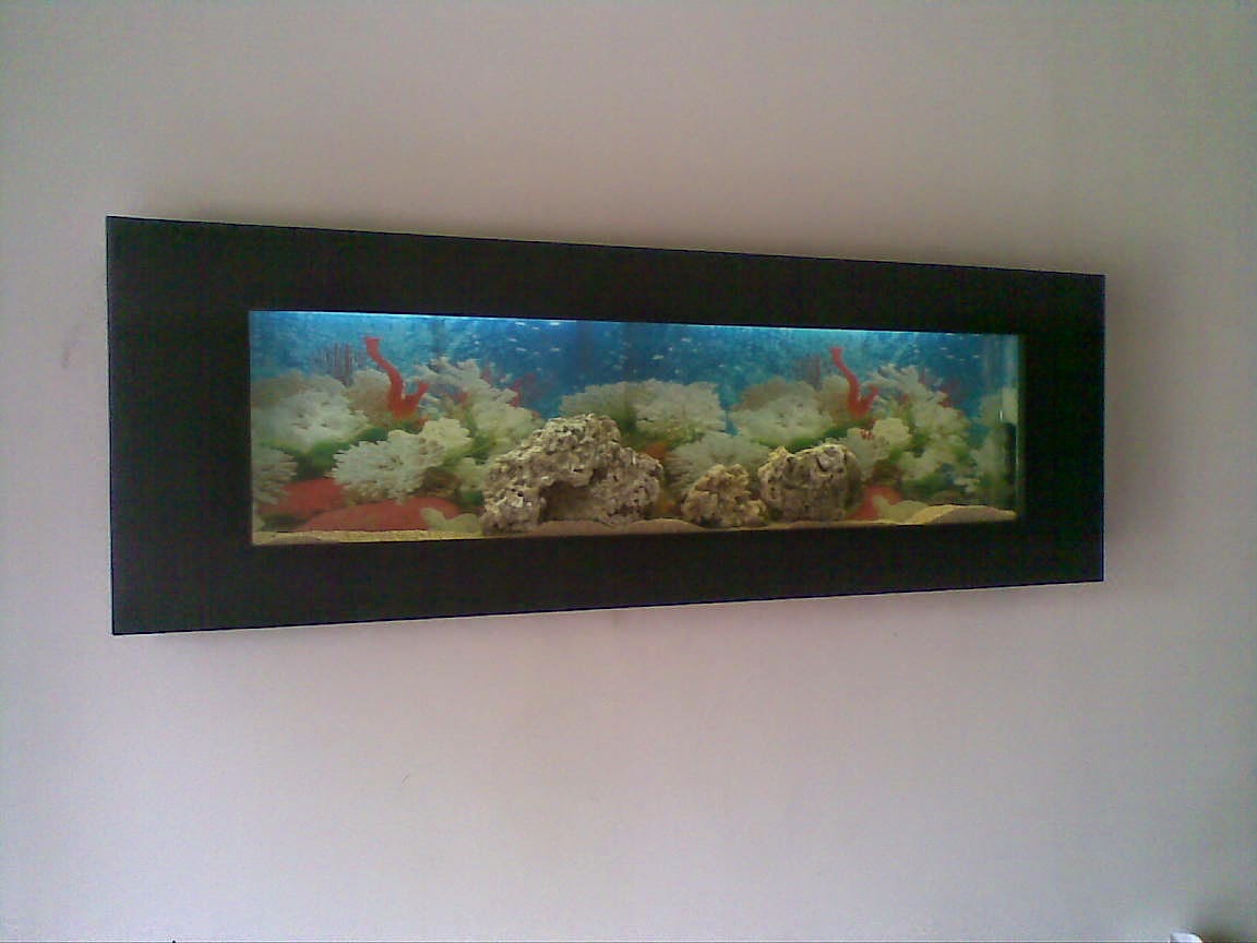 Aquarium solo: Aquarium Dinding