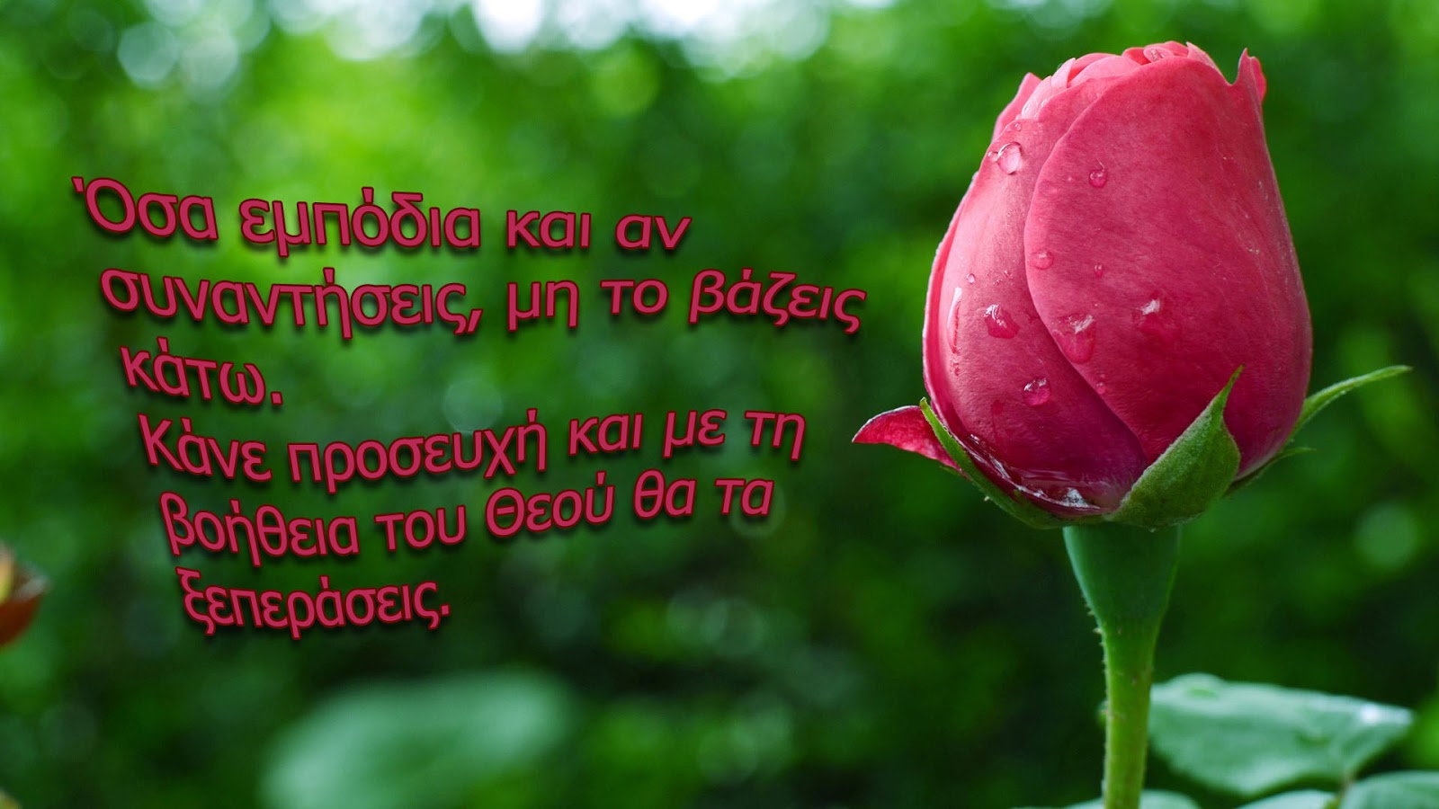 ΕΛΑΦΟΣ