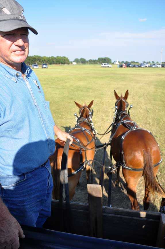 Taken For Granted: Mule Driver and Mule Wagon