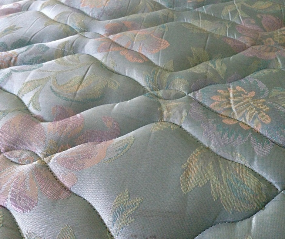 7 mitos mengarut tentang pepijat yang anda percaya | My Pest News