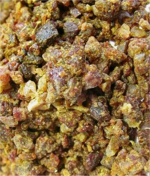 Buzzing Across America: Propolis: the Glue of the Hive