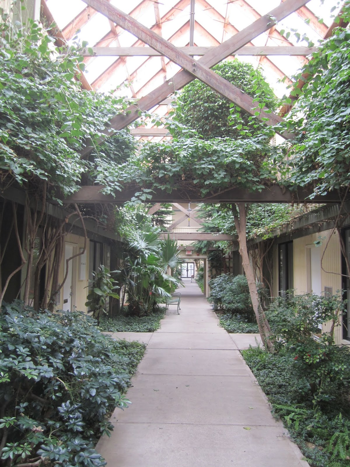 Princeton Nature Notes: Atrium Honeydew Sleuth