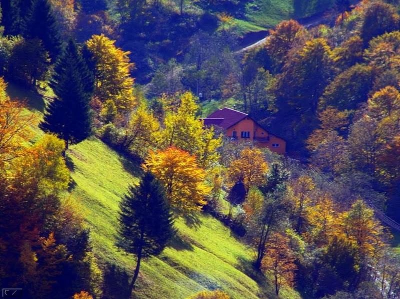 Best WallPapers: Romanian Autumn Best Wallpapers