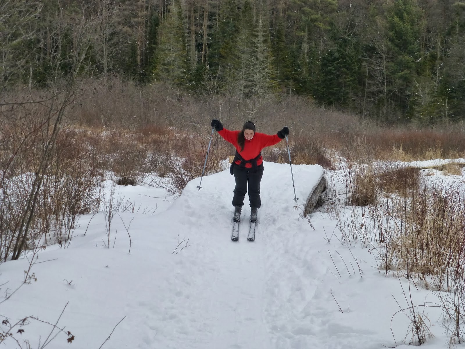 Off on Adventure: XC Ski Pharaoh Lake - Pharaoh Lakes Wilderness - 2/9/14