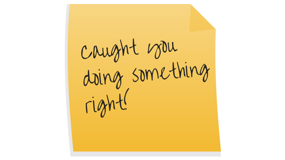 The Compelled Educator: Catching Teachers Doing Something Right