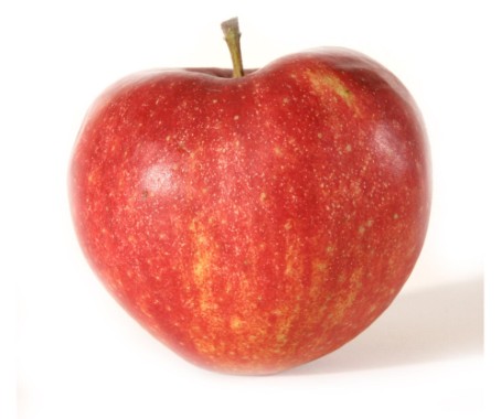 Leuk en Informatief!: Limburgse appel is gezonder dan West-Vlaamse