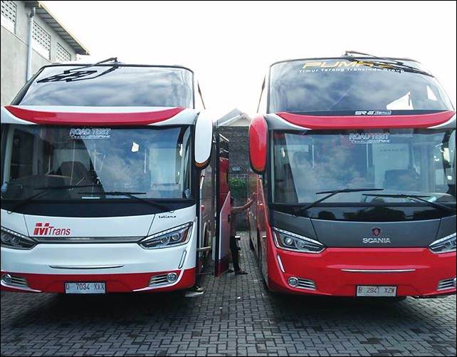 Adu Ganteng 7 Varian Karoseri Bodi Bus Mewah SHD Double Glass