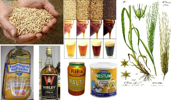 oligosacaridos : noviembre 2015