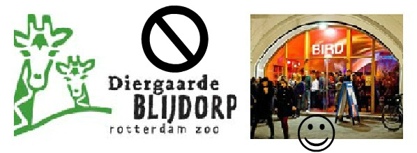 The Road Leeds To Rotterdam: THE ALTERNATIVE GUIDE TO ROTTERDAM