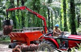 TEKNIK MEKANISASI PANEN KELAPA SAWIT DI PT TUNGGAL PERKASA PLANTATIONS ...