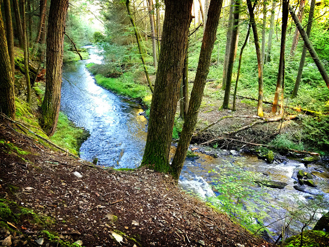 Hiking Trails in NJ and PA: Hiking the Cliff Trail to the Hackers Falls ...