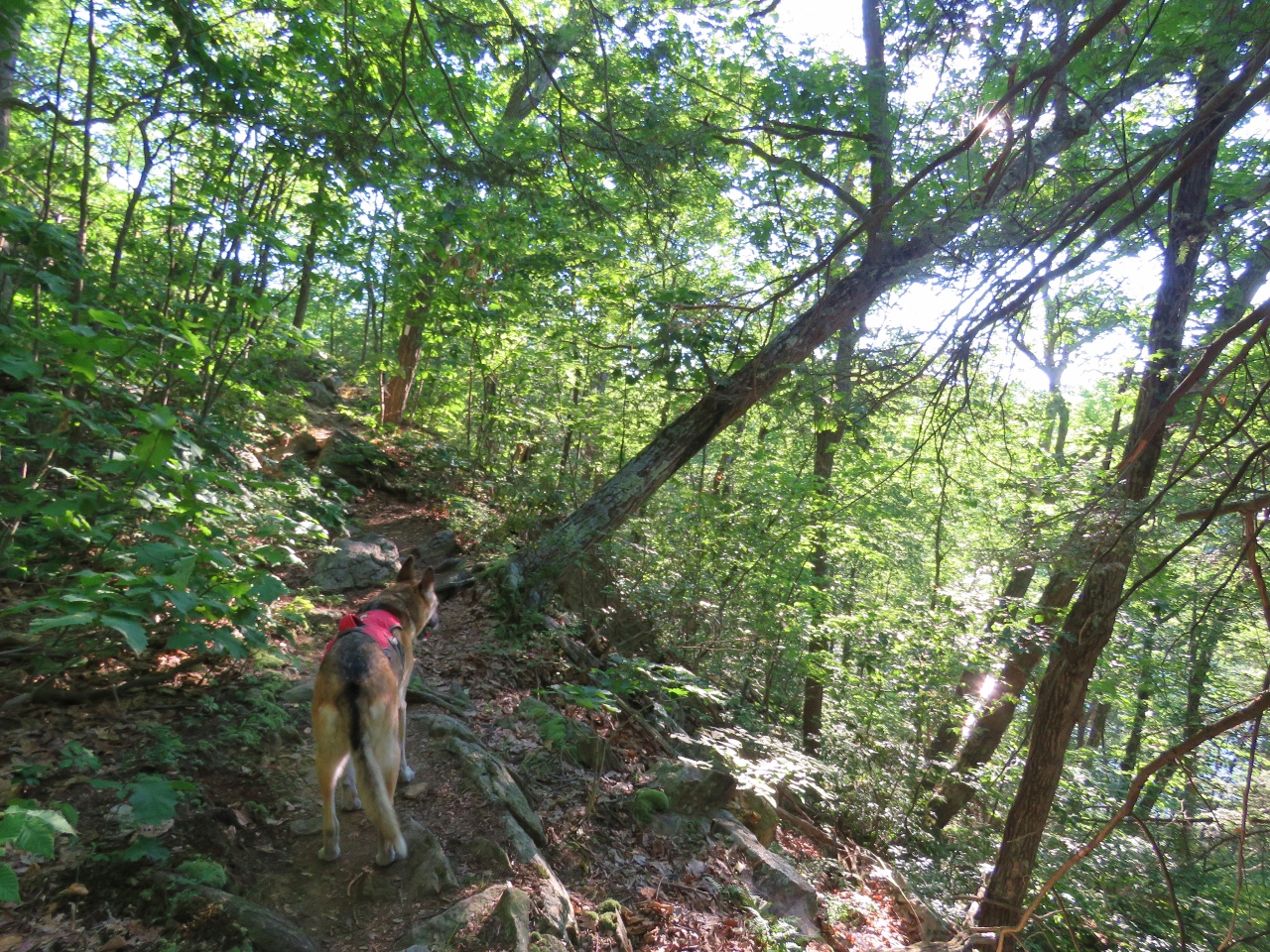 Gone Hikin': Fahnestock State Park, NY - Canopus Lake