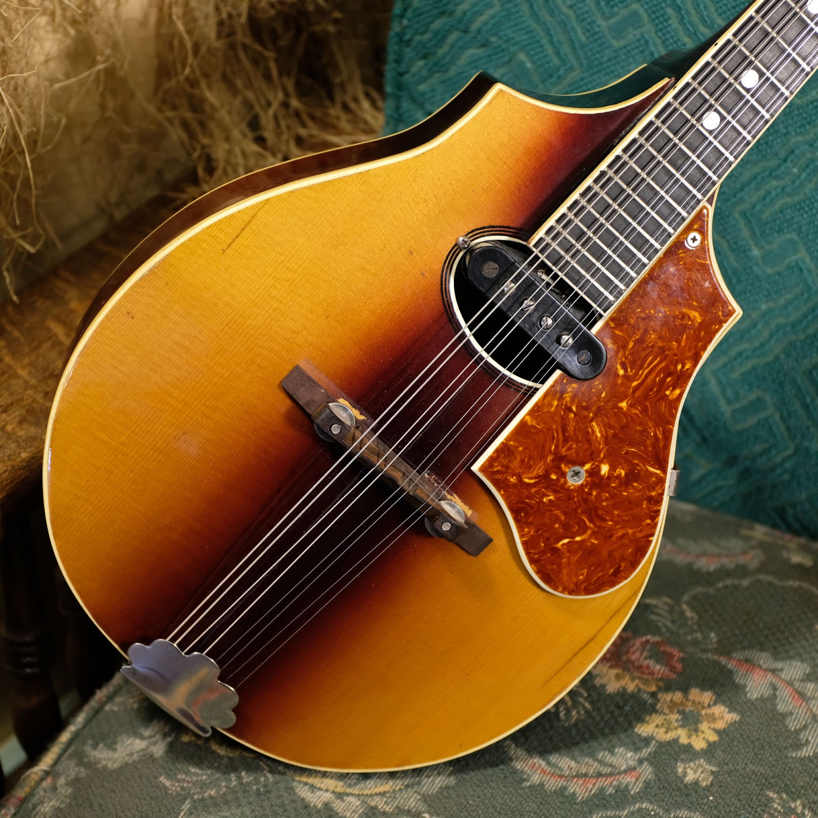 Jake Wildwood: 1940s Vega L-100 Two-Point Electrified Mandolin