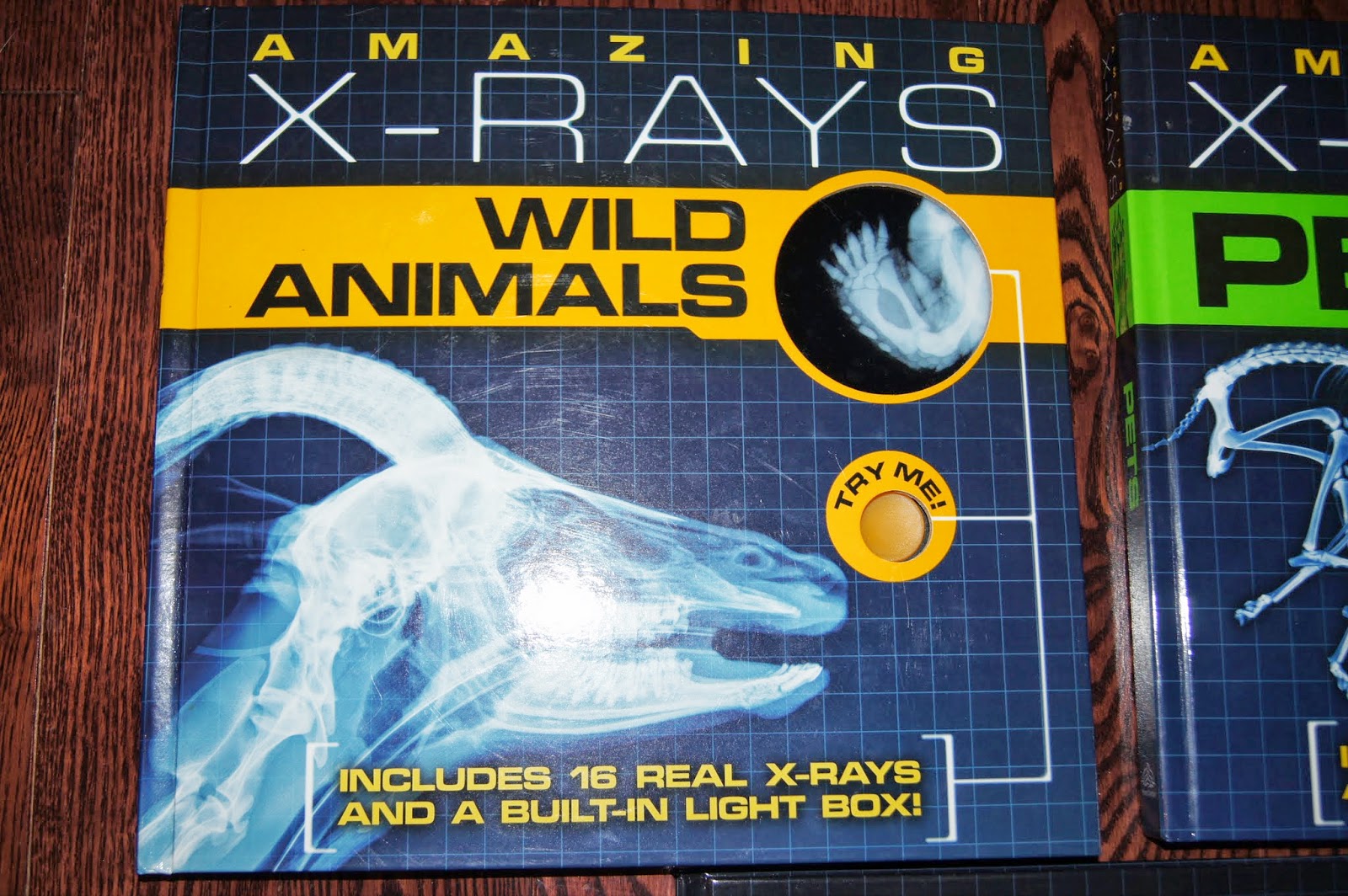 X-Ray Books For Kids - "Making Montessori Ours"