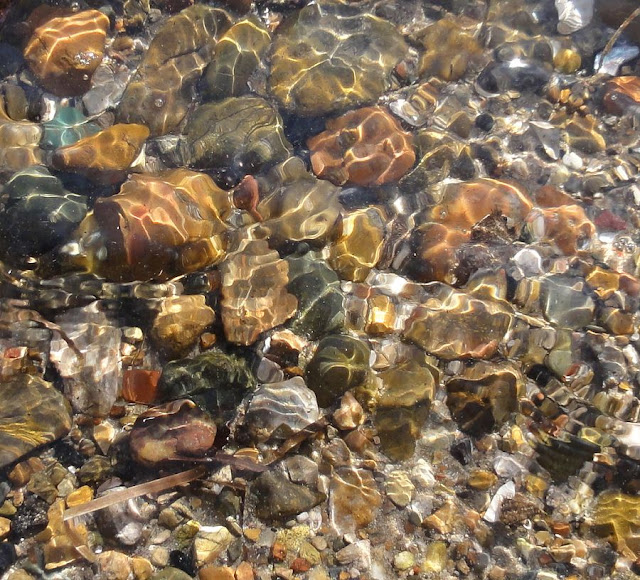 Snap Happy Birding: Shingle Splitters Point