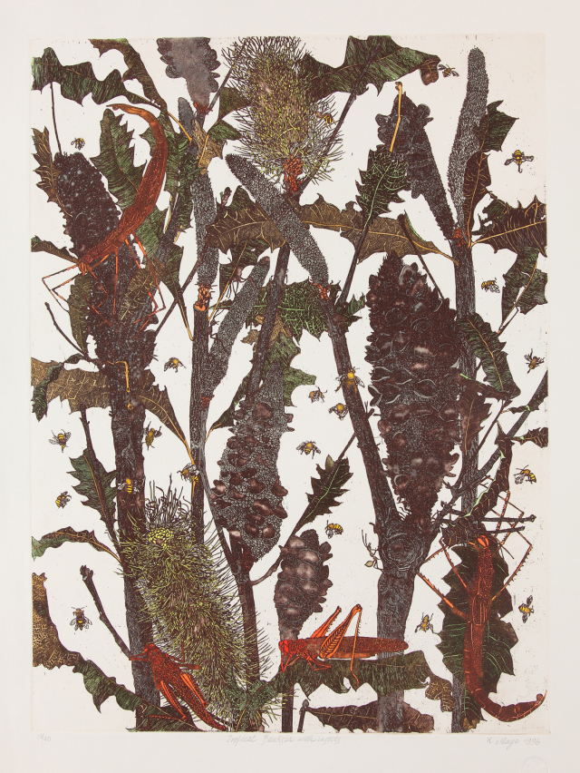 Geelong Visual Diary: November 2012