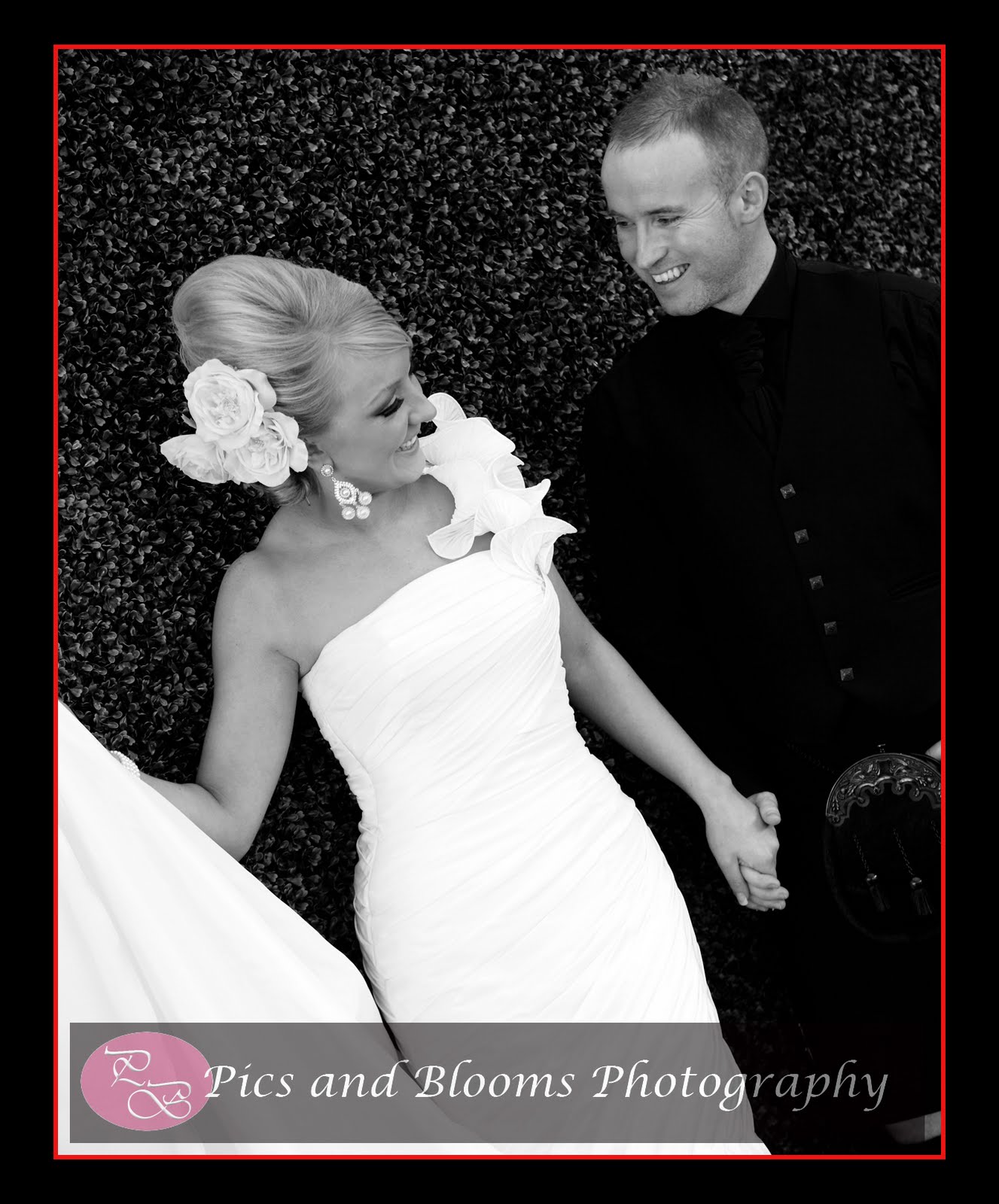 Pics and Blooms Photography: Nikki & Richard Ingliston Equestrian ...