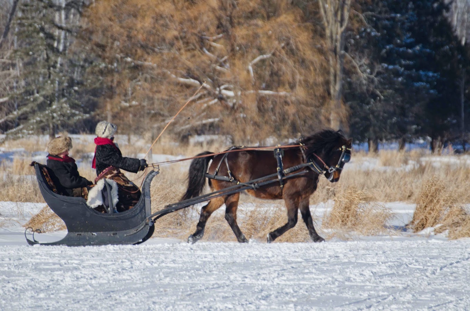 Savoring Servant: Cutter and sleigh rides