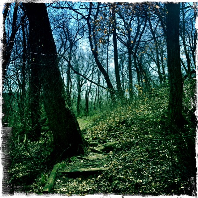 KeepTulsaLocal: Redbud Valley Nature Preserve