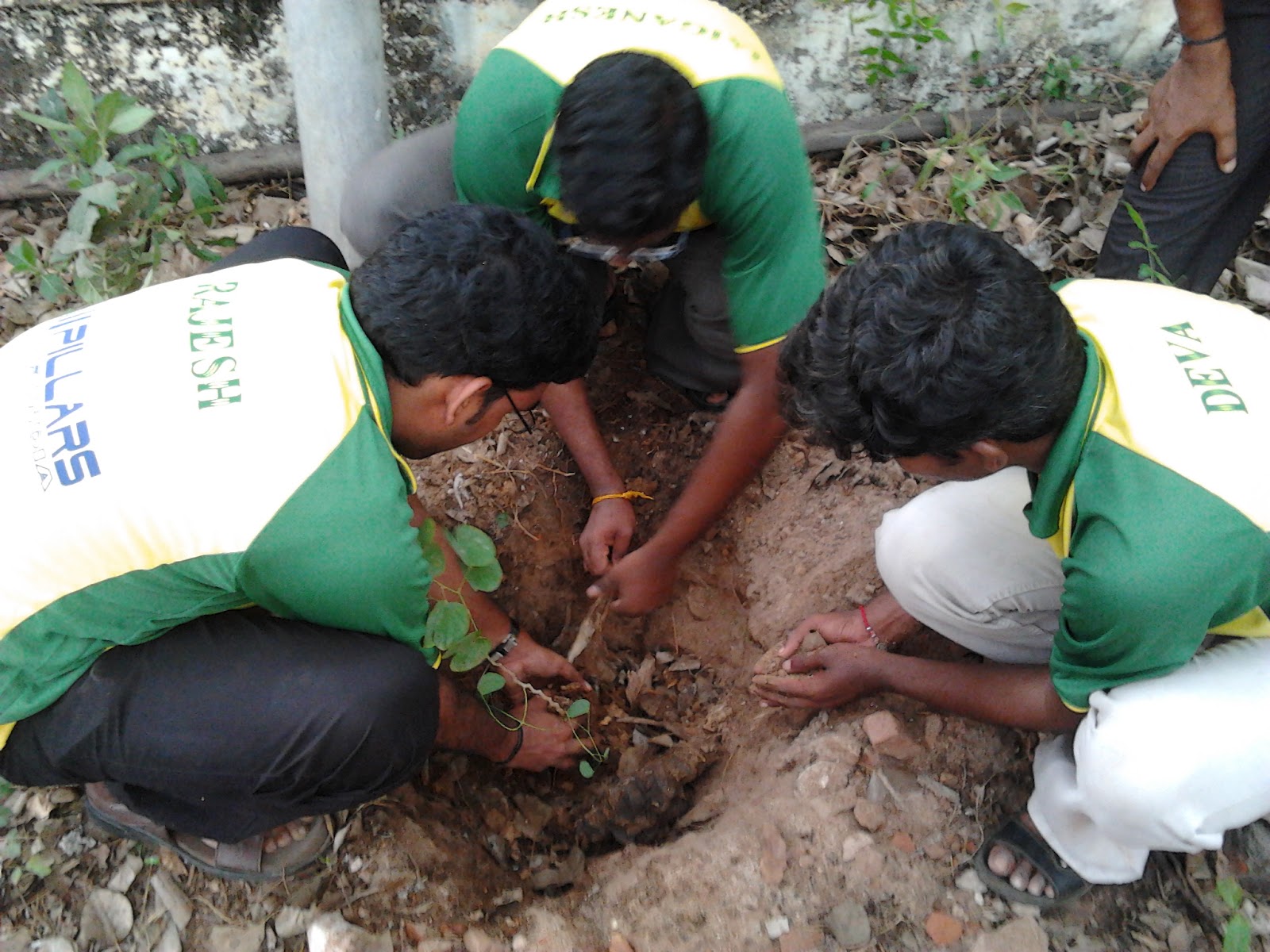 Pillars of India: Pillars of India & Arani ExNoRa's Tree Plantation at ...