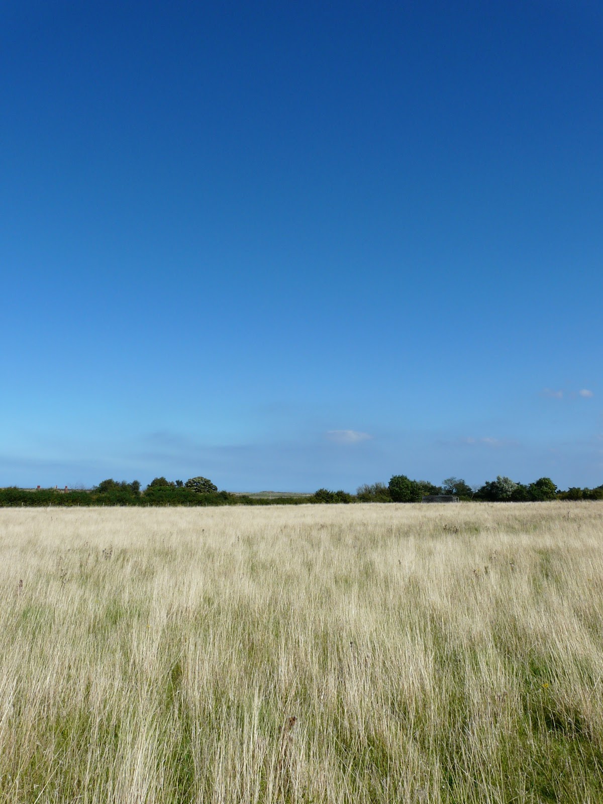 Cindy's Snaps: Brancaster and Branodunum Roman Fort....