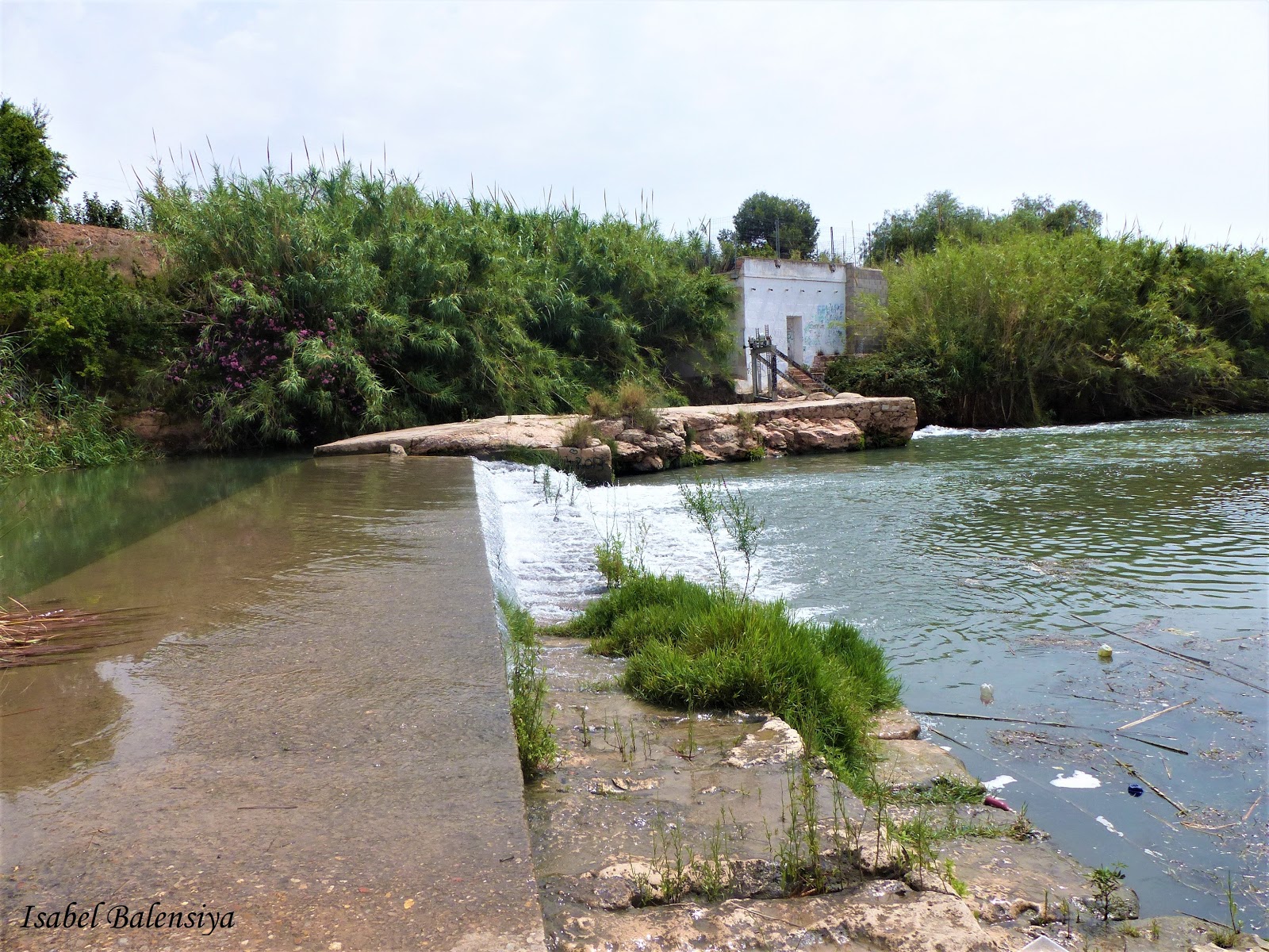 CALLEJEANDO POR VALENCIA : Acequia Mayor de Tormos (Acequias de Valencia#2)