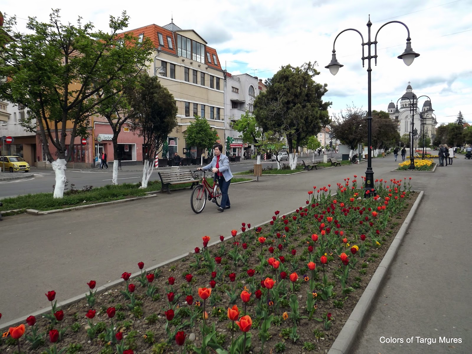Orasul Targu Mures acoperit de flori ~ Colors of Targu Mures