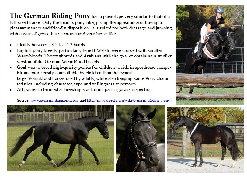 Knight's Tale Studio: When in Doubt, Document