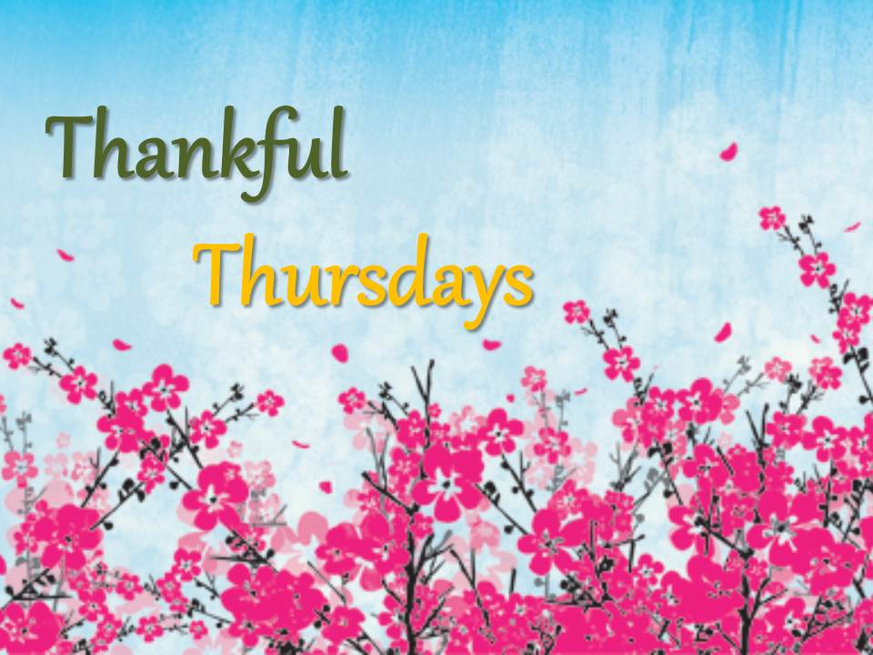 Thankful Thursday | AB and Me