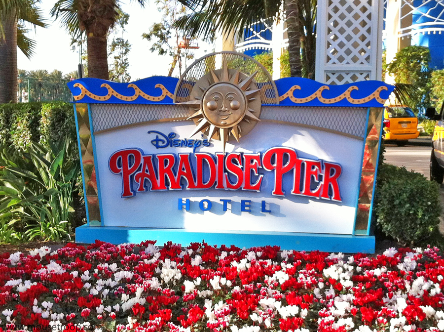 Mouse Troop: Advantages & Quirks of the Paradise Pier Hotel
