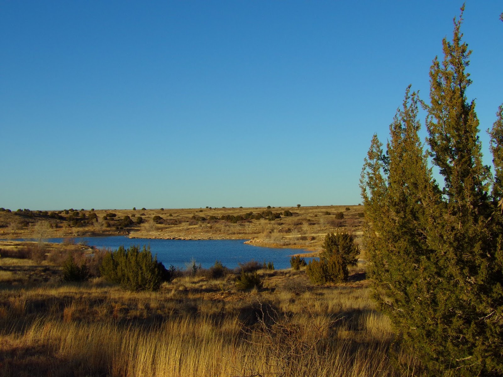 Sumner Lake State Park, Fort Sumner, New Mexico