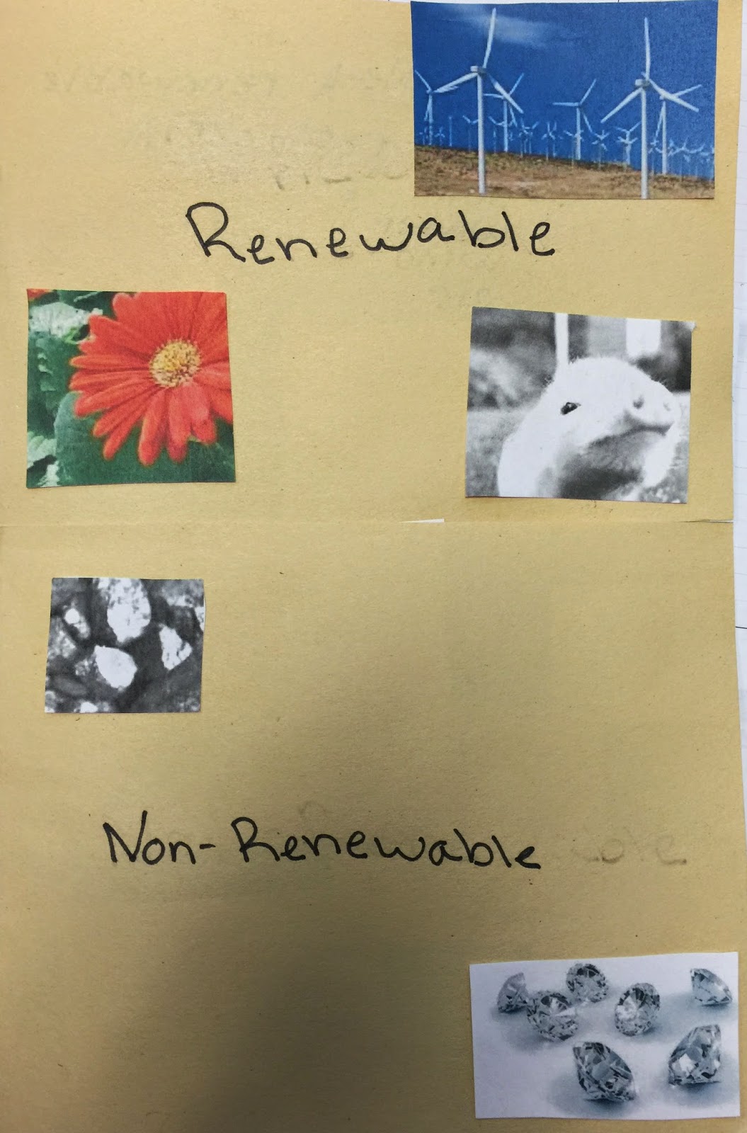 The 4th Grade May-niacs: Our Earth's Natural Resources