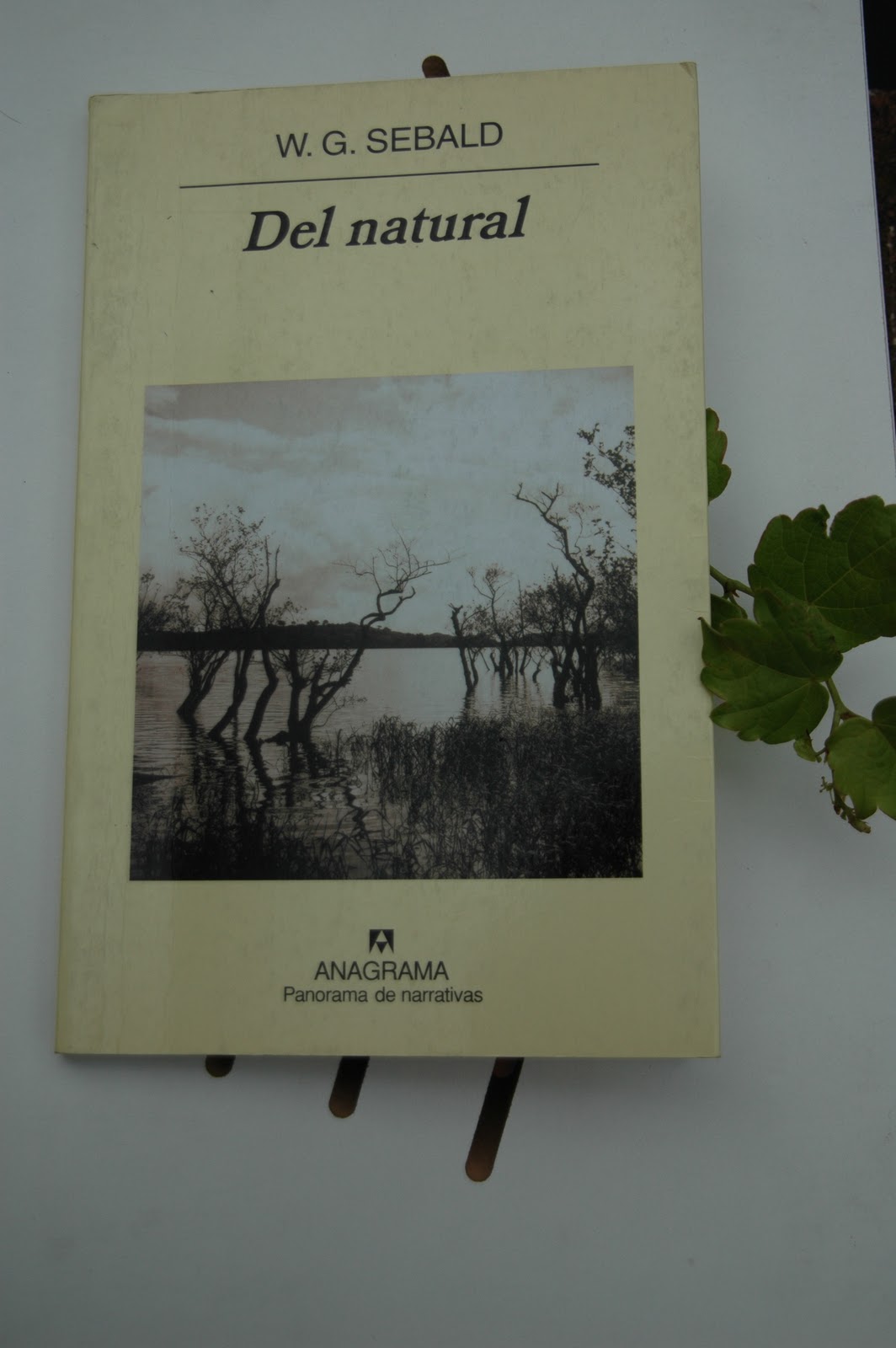 Idiomas olvidados: HOMENAJE A W.G. SEBALD