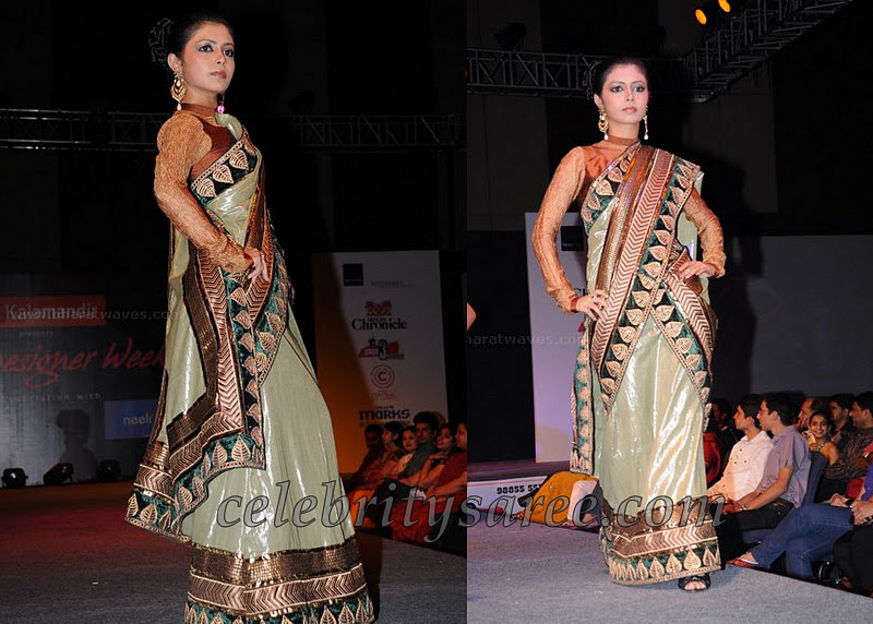 Shimmer Heavy Patch Work Sari - Saree Blouse Patterns