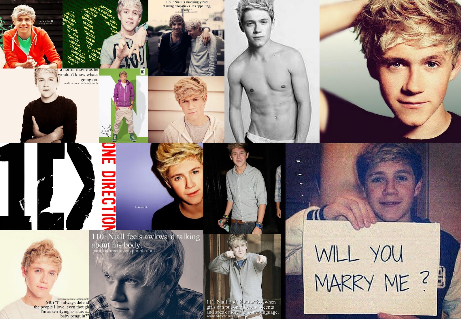 MÚSICA: COLLAGE DE HARRy STyLES y NIALL HORAN DE ONE DIRECTION