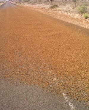 SA Weather and Disaster Observation Service: Springkane saai ...