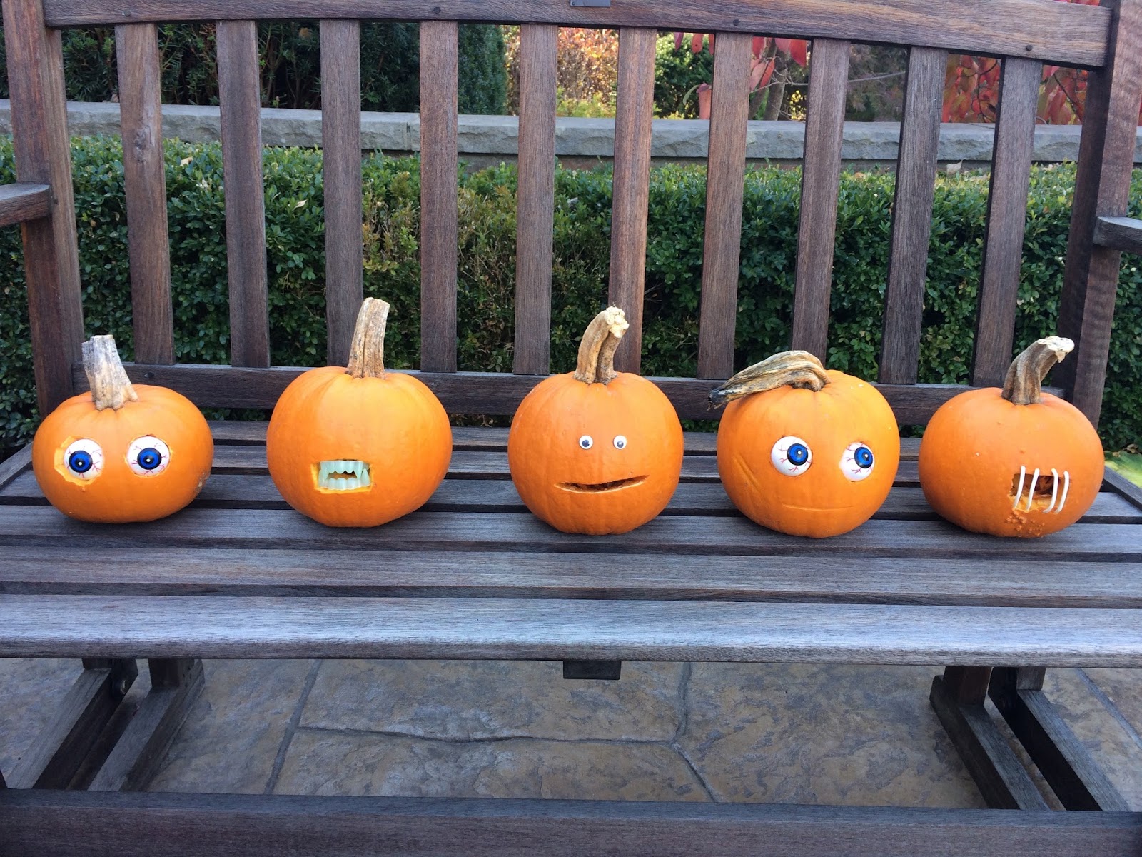 Make My Day Camp: Pumpkin Line-Up