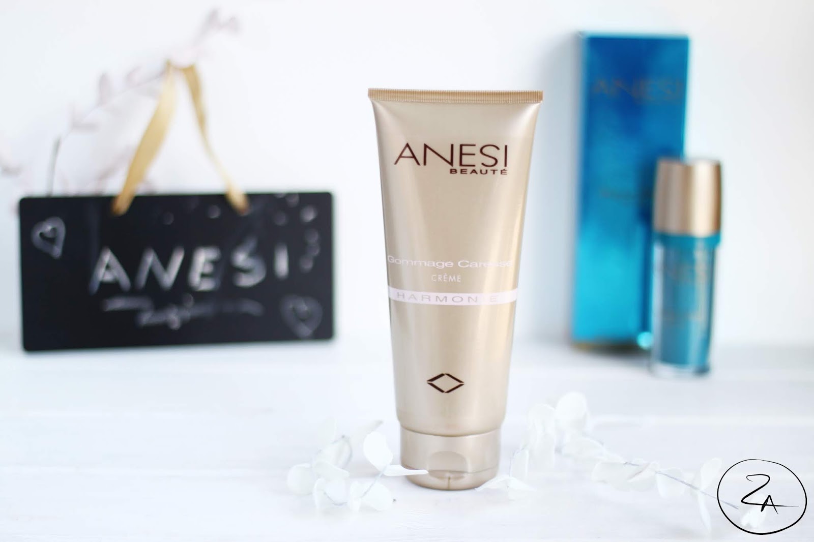 Mana pasaku pasaule: Iepazīšanās: profesionālā kosmētika ANESI