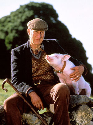 The Jane Austen Film Club: Babe 1995