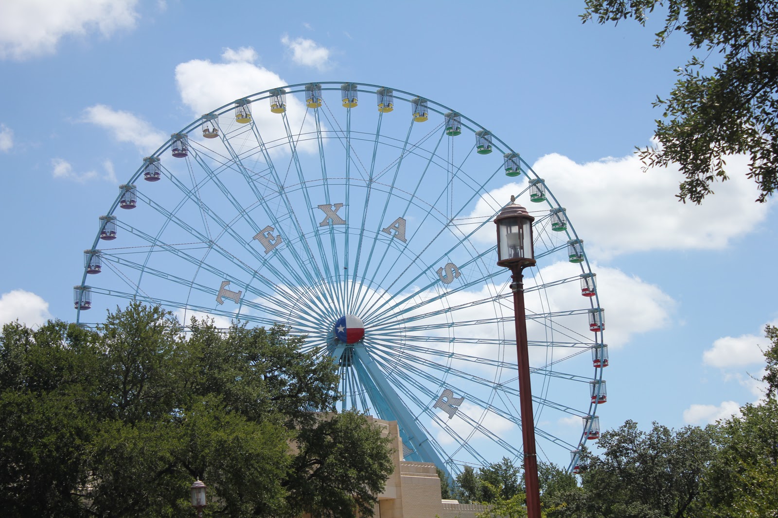 Ladybug from Texas: The Texas Star...