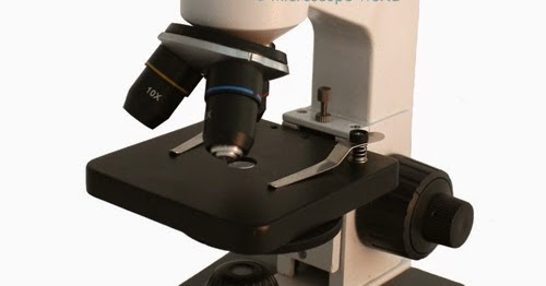 Microscope World Blog Kids Science Project Bottled Water Versus Tap Water