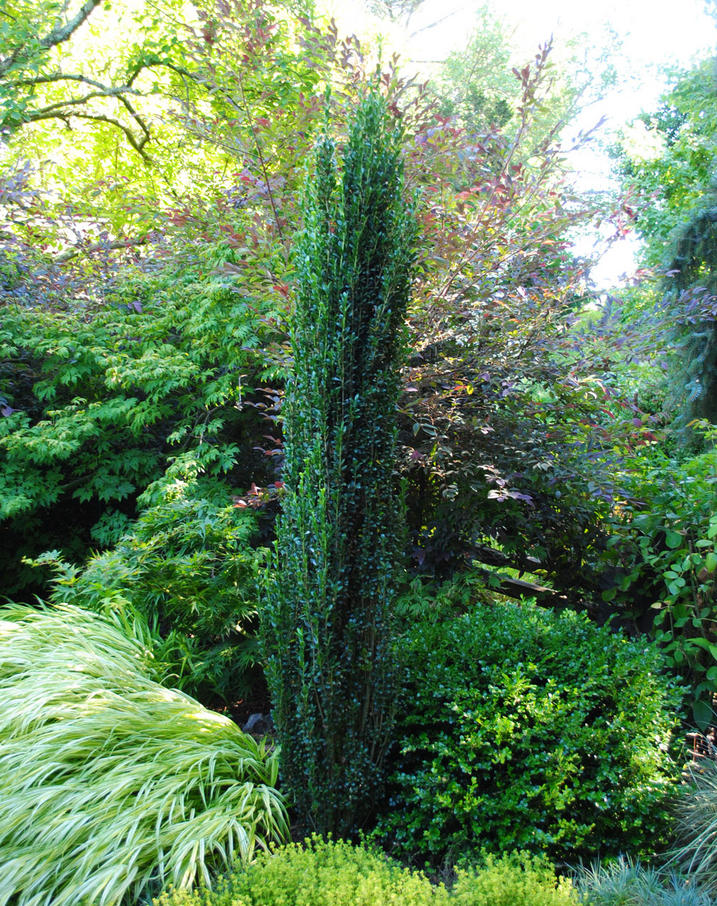 Arbor Edge Plastic Round Tree Ring | Arbor Tool Galleries