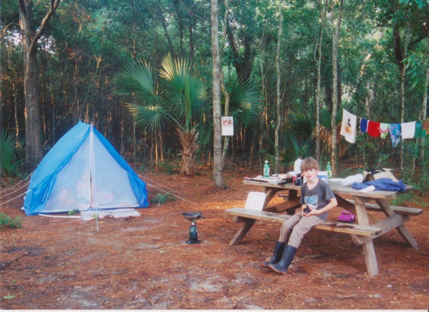 The Linefork Years: Introduction