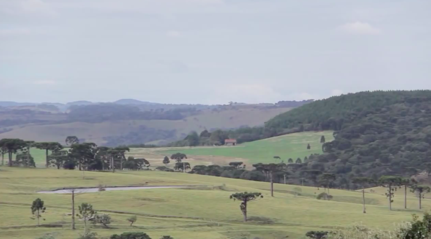 Lages | Santa Catarina - Enciclopédia Global™