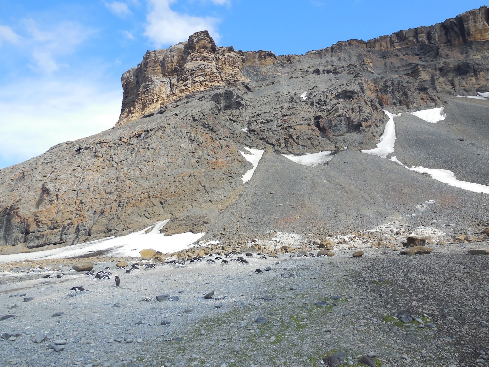 SouthAmerica/AntarcticaCruise: Antarctica (Day 5) - Brown Bluff