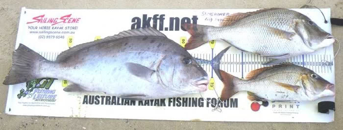 Noosa Yakkers Trip Reports: Big slatey, 03Jun10