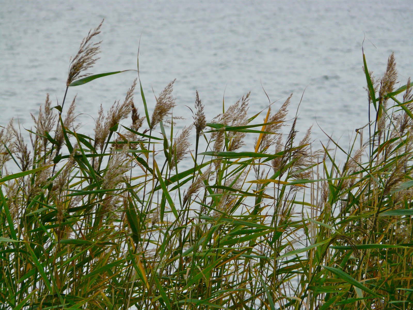 Tiden får vila för en stund...