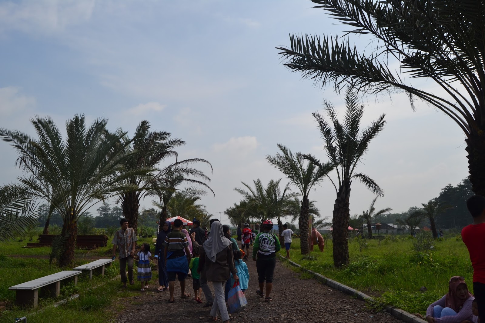 Inilah Wisata Kebun Kurma Terbesar di Indonesia
