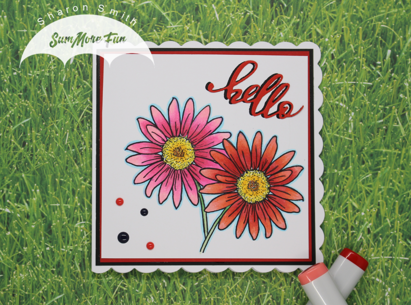 Hummingbird Papercrafts: Hello Daisy