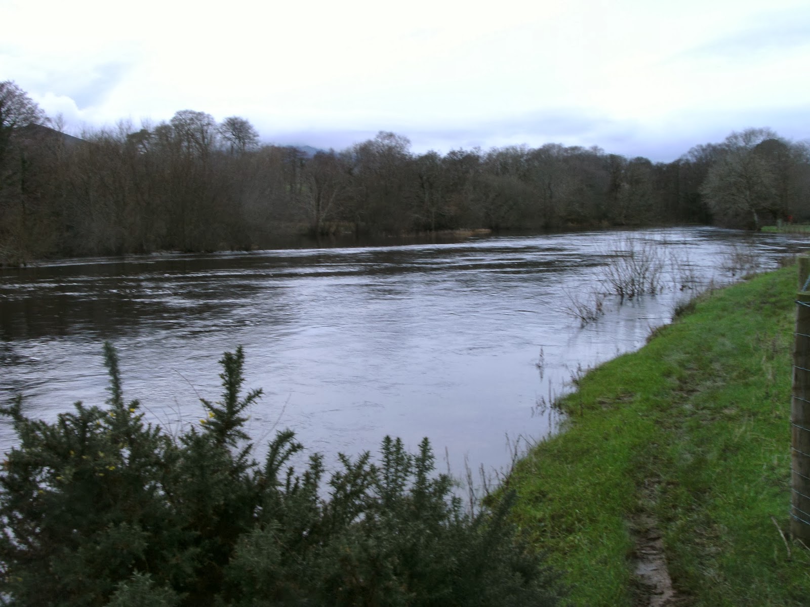 SALMON FISHING IRELAND 2021: Opening Day Salmon Season 2014," The Laune ...
